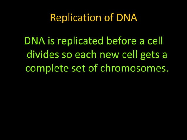 01 dna structure and replaction | PPTX | Chemistry | Science