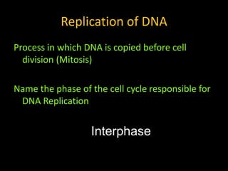 01 dna structure and replaction | PPTX | Chemistry | Science