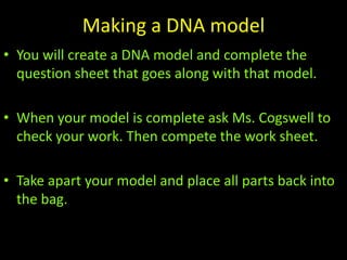 01 dna structure and replaction | PPTX | Chemistry | Science