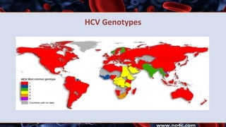 Virology of HCV | PPTX