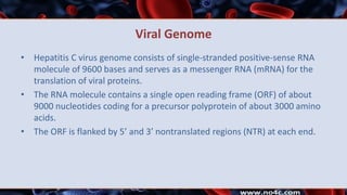 Virology of HCV | PPTX