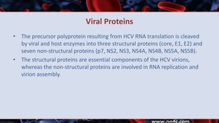 Virology of HCV | PPTX