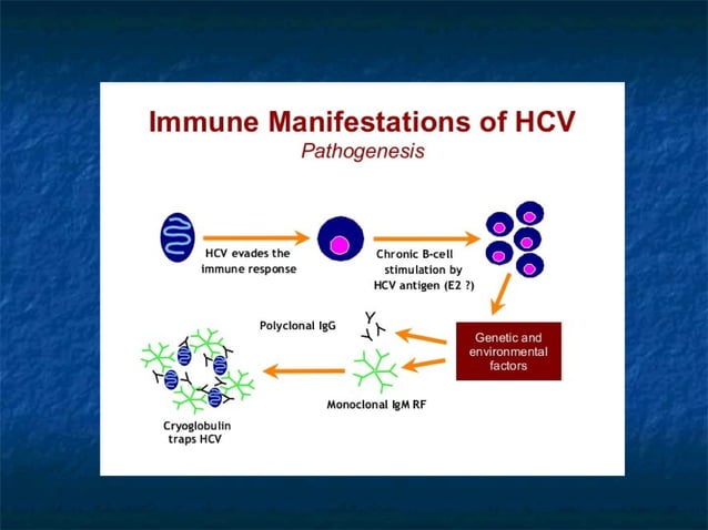 Extrahepatic Manifestations of HCV | PPT