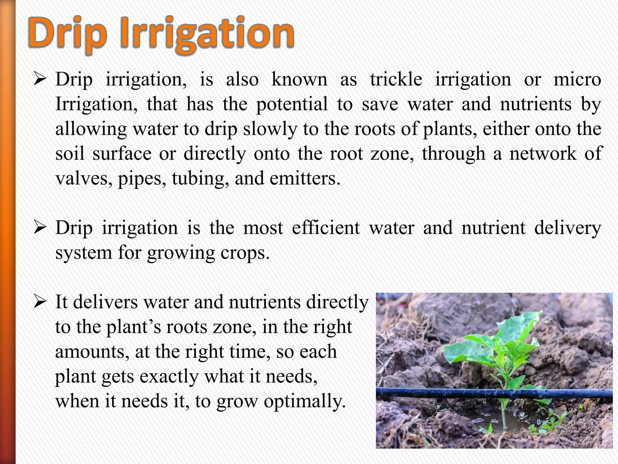 Drip Irrigation System 04 | PDF