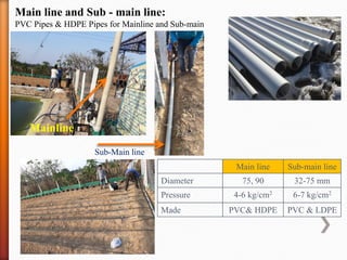 Drip Irrigation System 04 | PDF