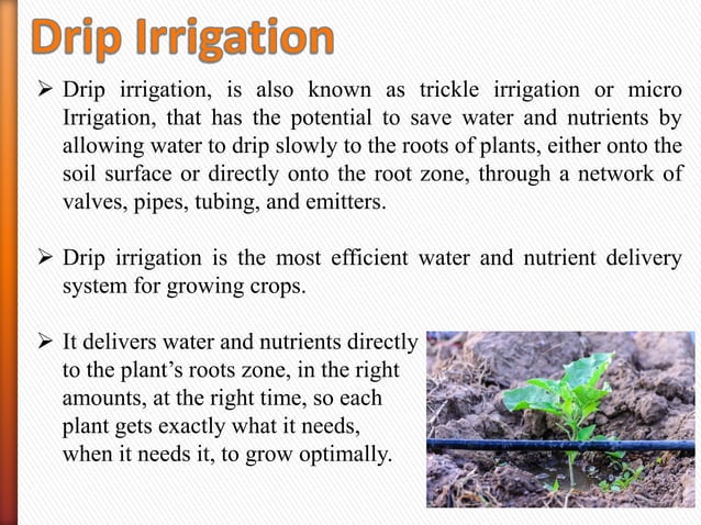 Drip Irrigation System 04 | PPT