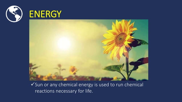 01 Earth and Life Science - Module 1 & 2.pptx | Geography | Science