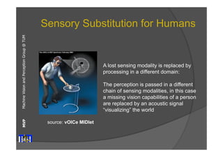 Sensory Substitution | PDF