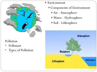 01 Environmental Pollution 2020.pdf