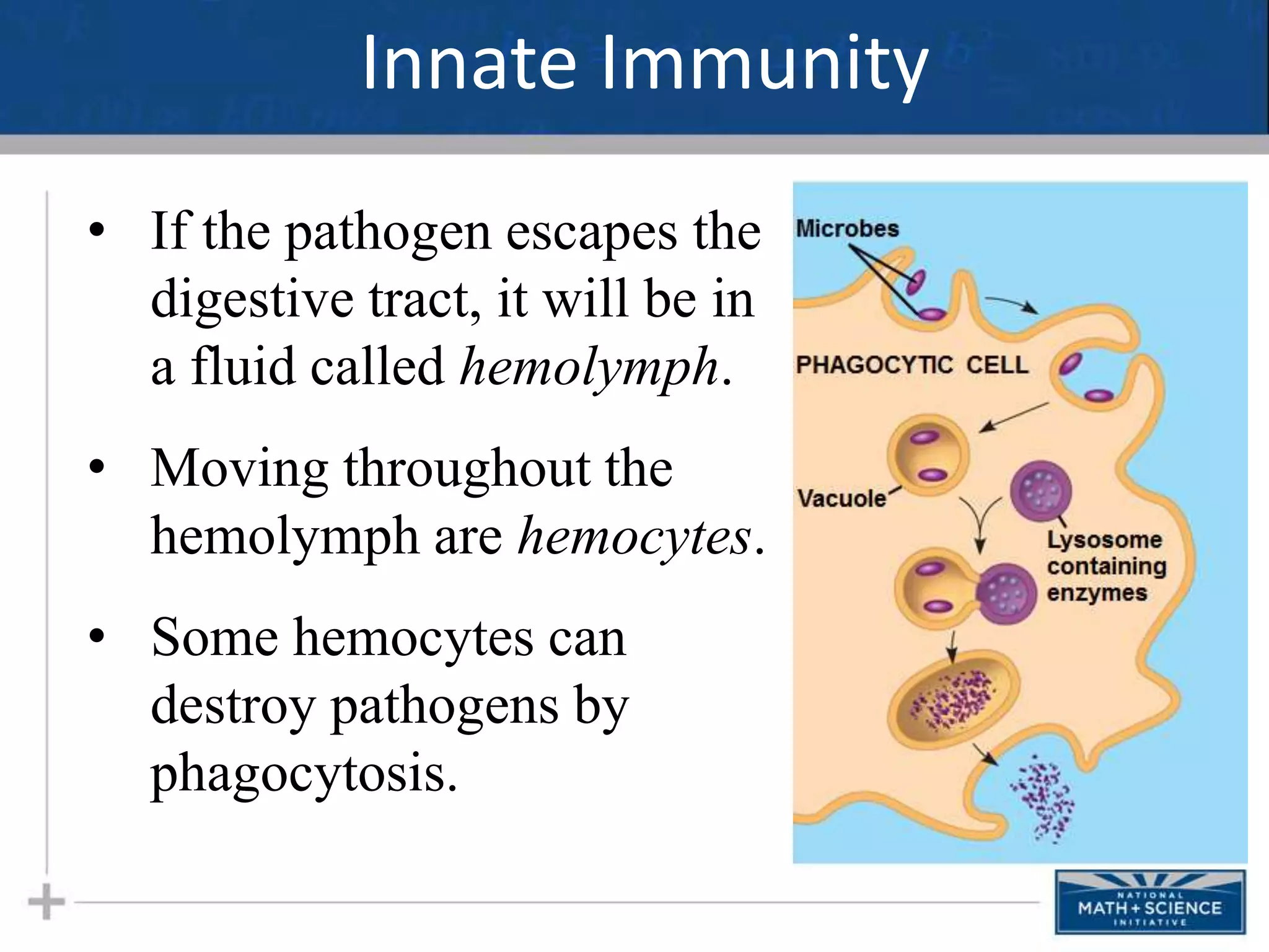 Evolution of the Immune System.pptx