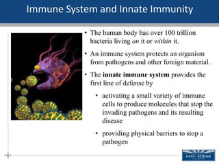 Evolution of the Immune System.pptx