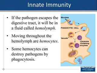 Evolution of the Immune System.pptx