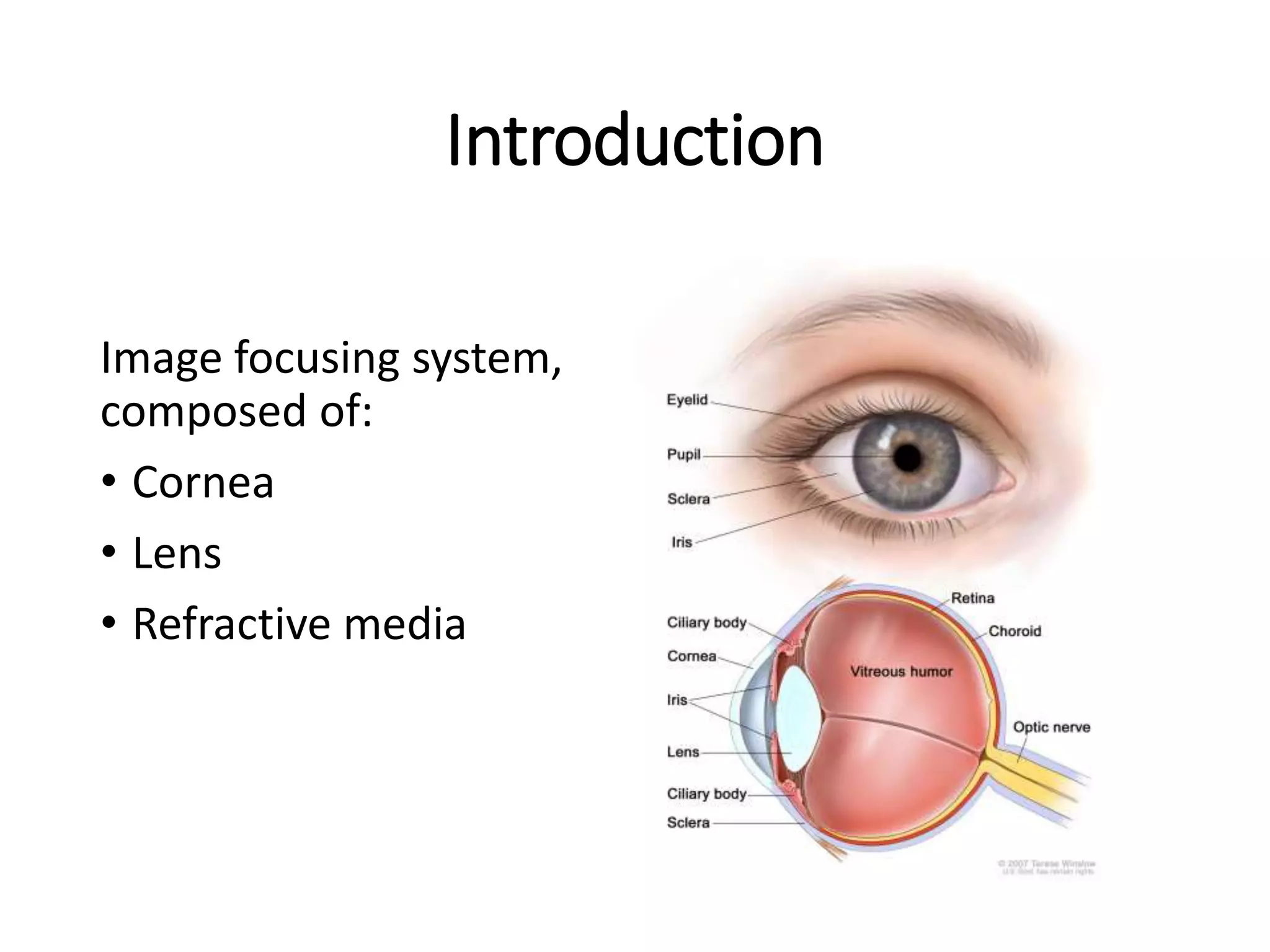 Introduction to the Eye.pptx | Eye and Vision Conditions | Diseases and ...