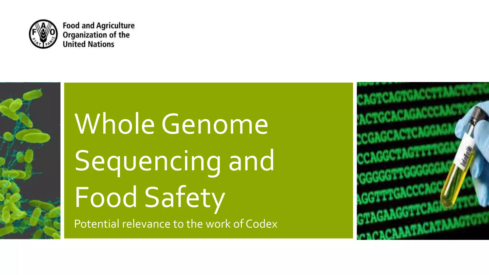 Whole Genome Sequencing and Food Safety: Potential relevance to the ...