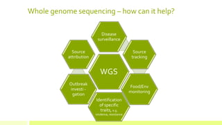 Whole Genome Sequencing and Food Safety: Potential relevance to the ...