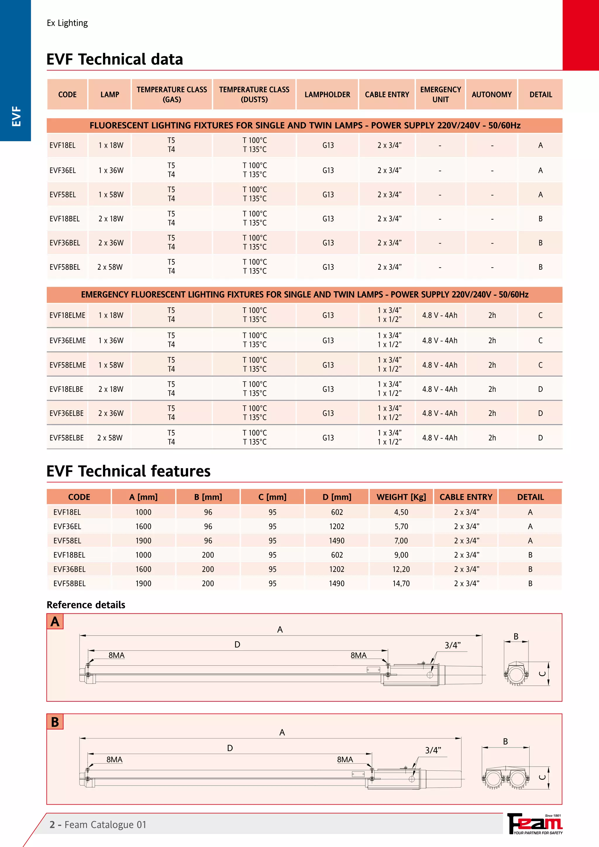 FEAM Lighting - Hazardous Area & Explosion Proof Lighting | PDF