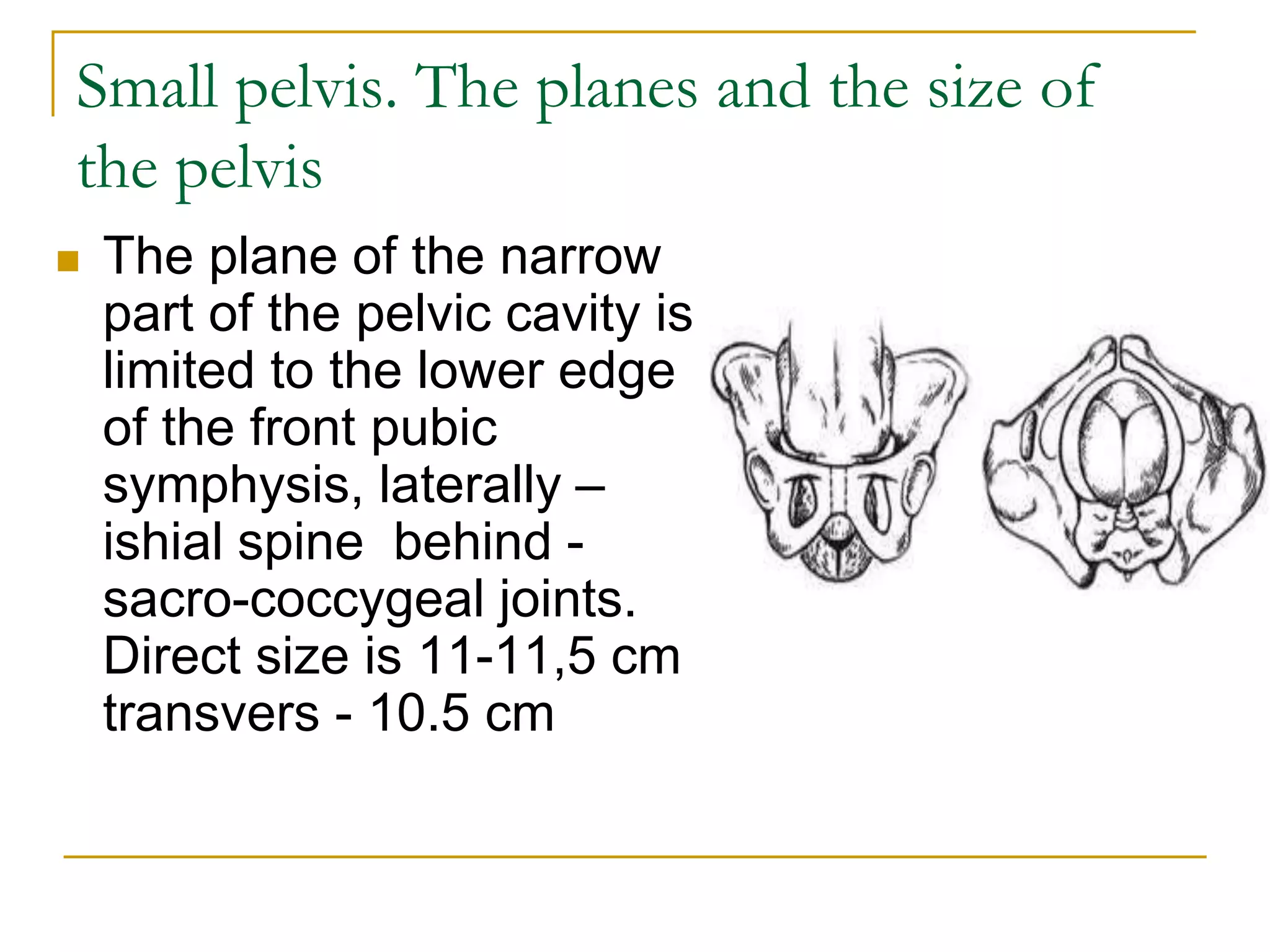 01_Female pelvis. Fetus as object of delivery ...