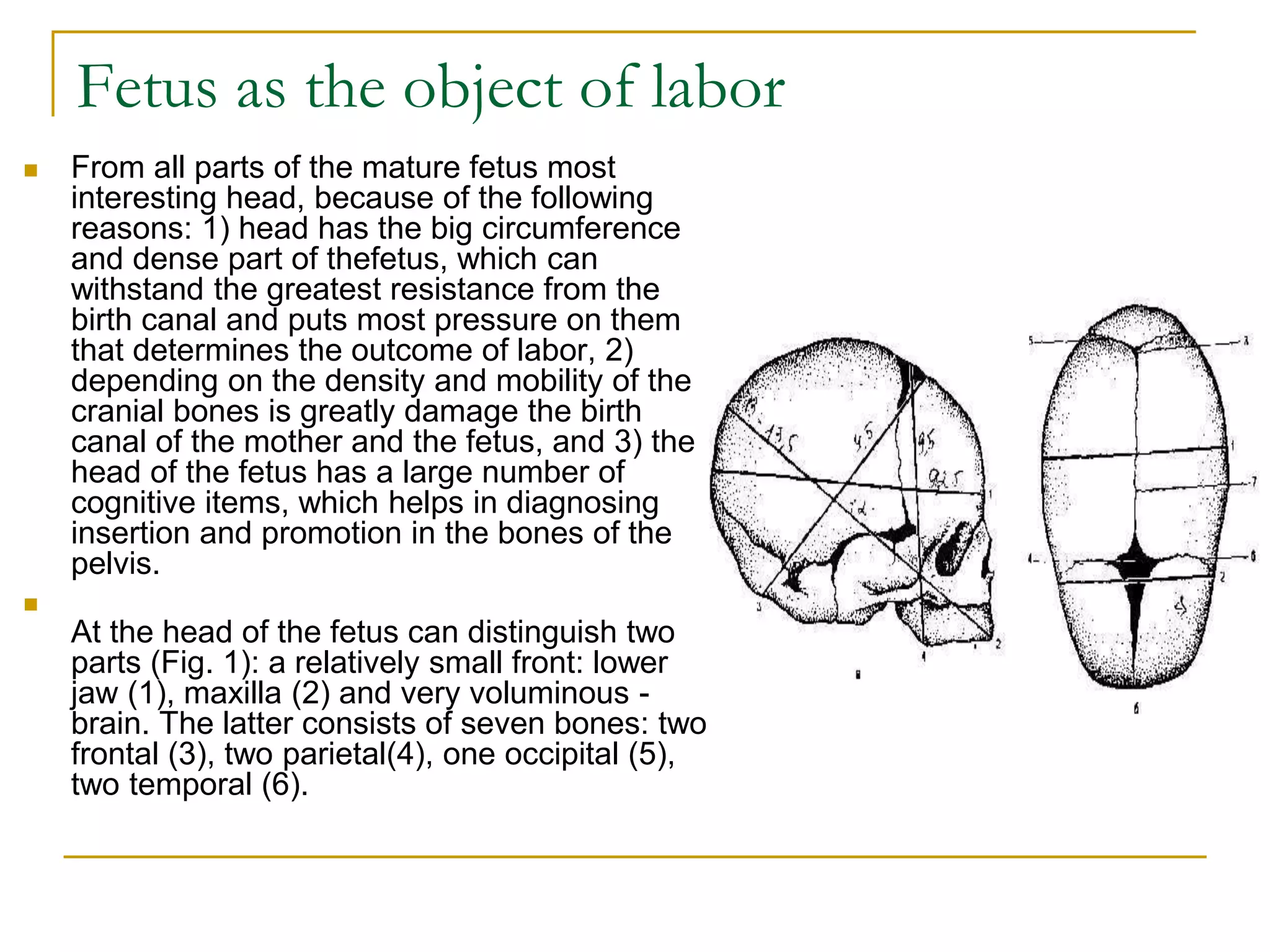 01_Female pelvis. Fetus as object of delivery ...