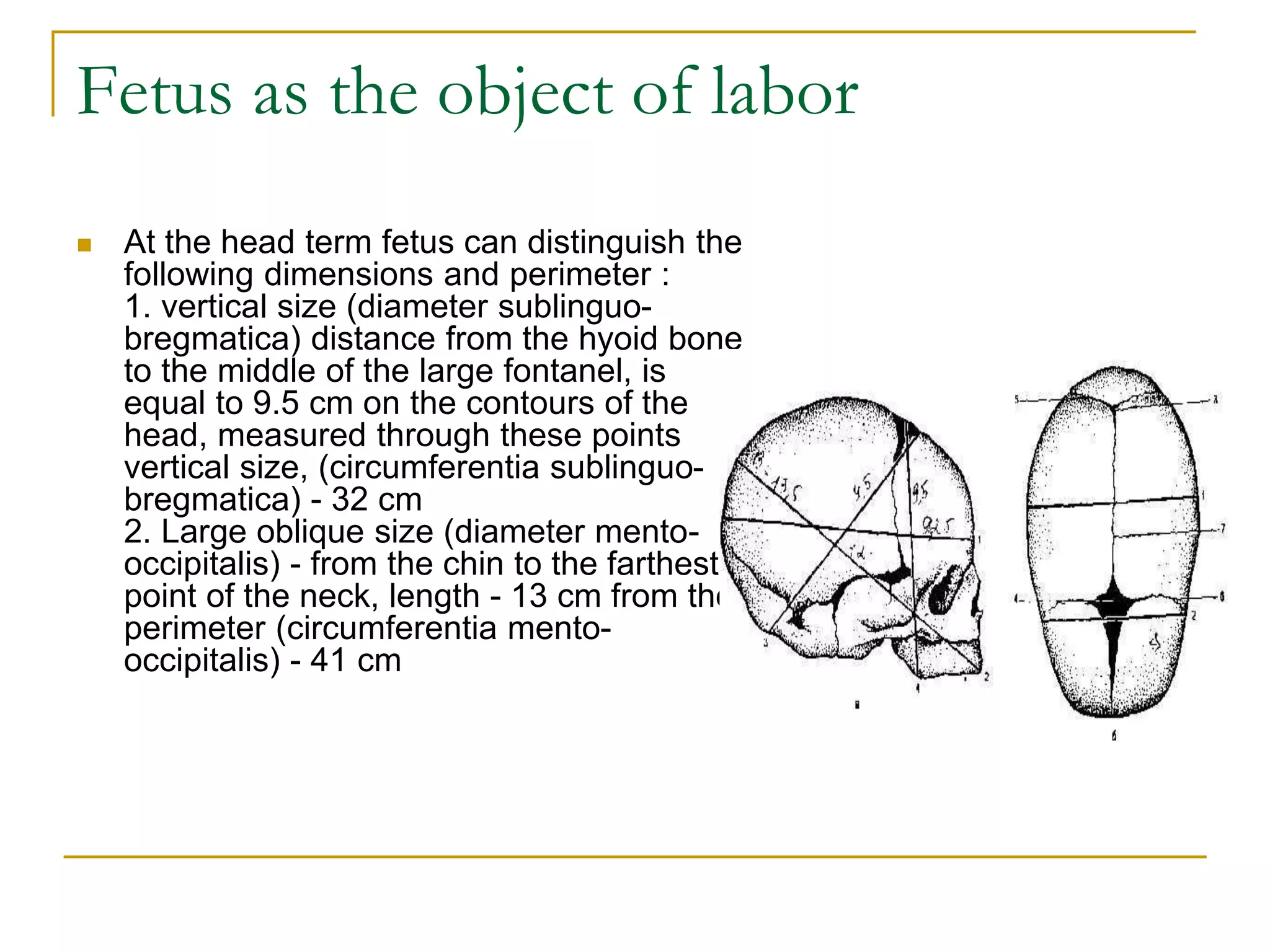 01_Female pelvis. Fetus as object of delivery ...