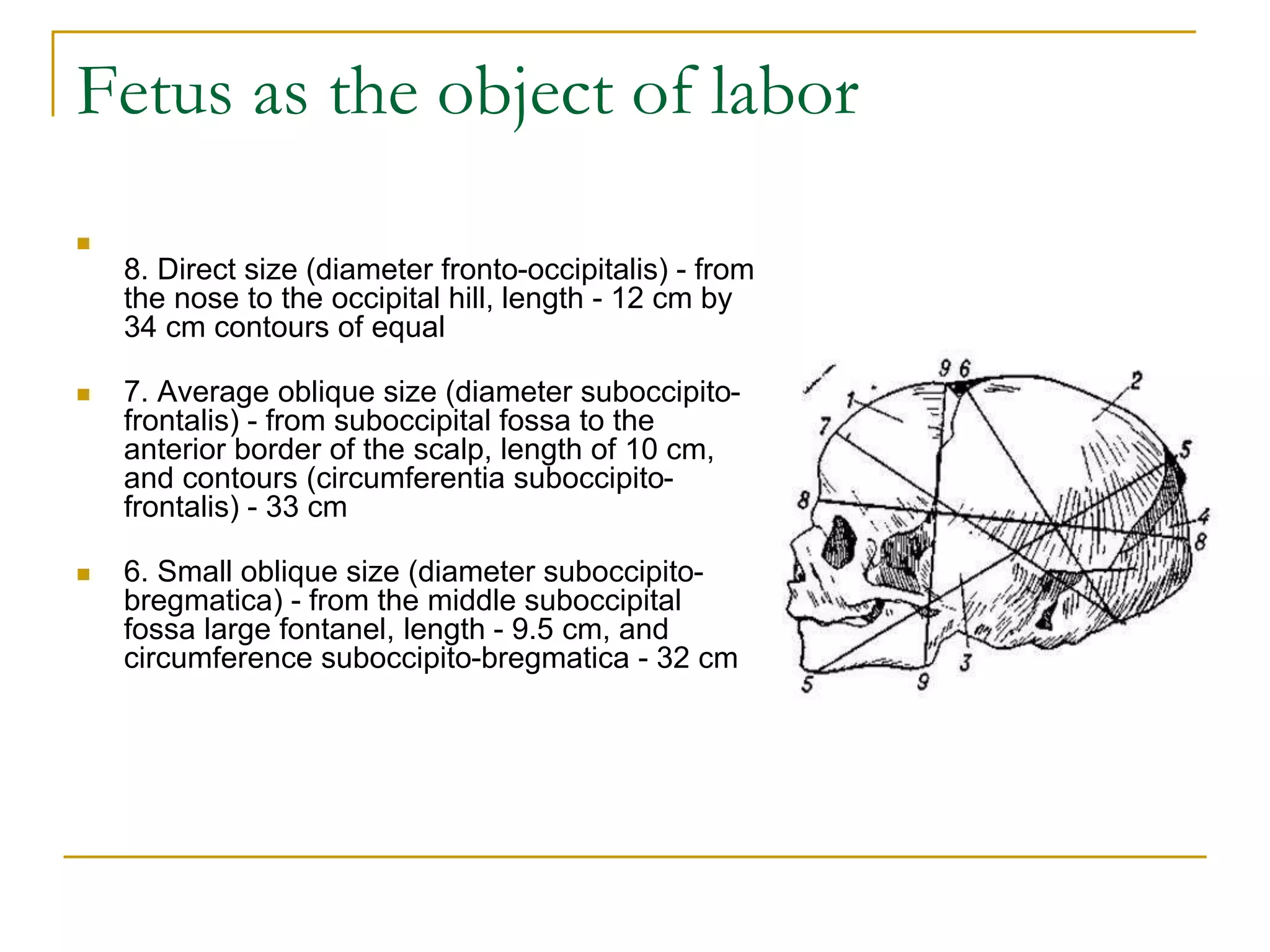 01_Female pelvis. Fetus as object of delivery ...