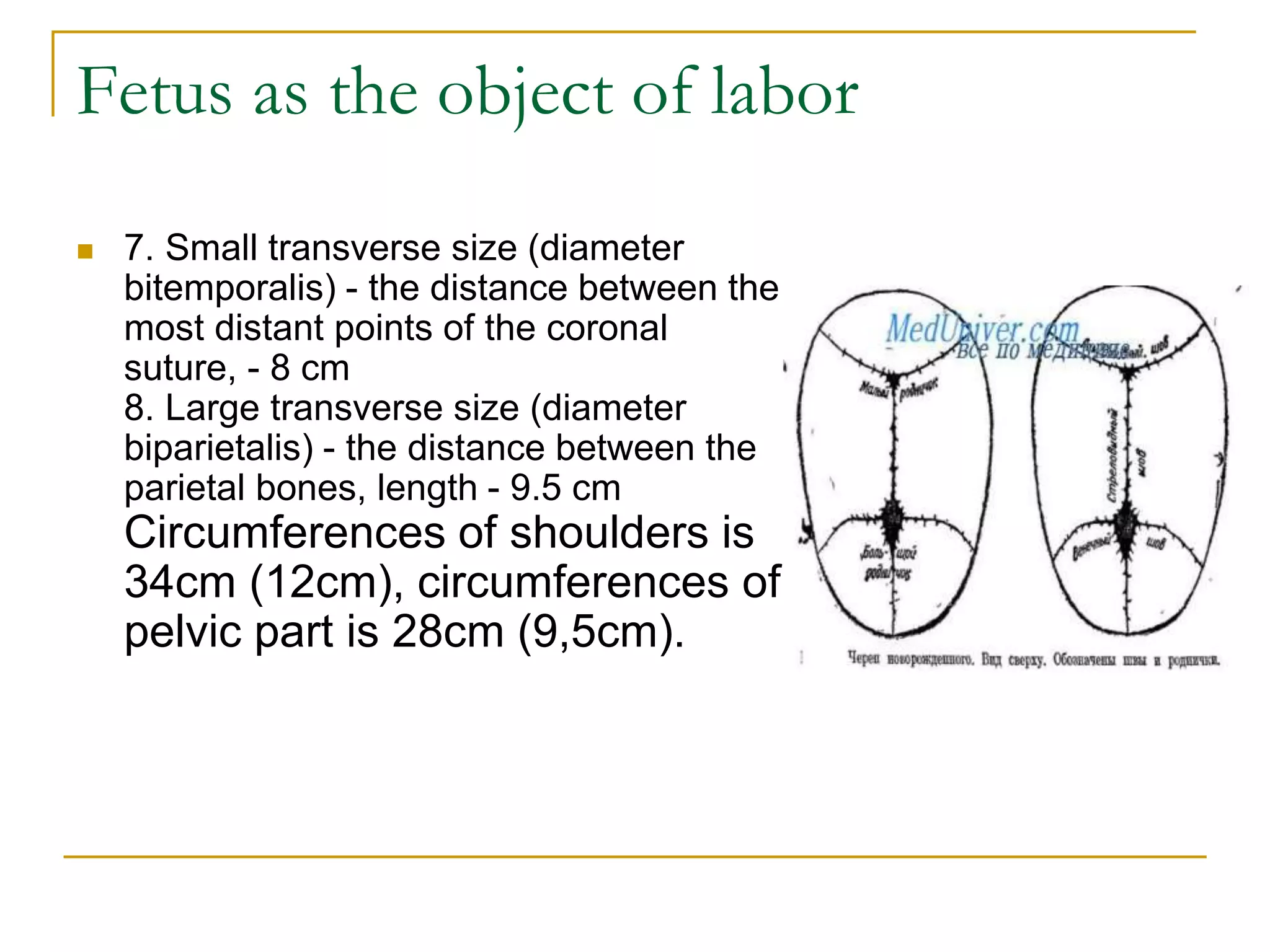 01_Female pelvis. Fetus as object of delivery ...
