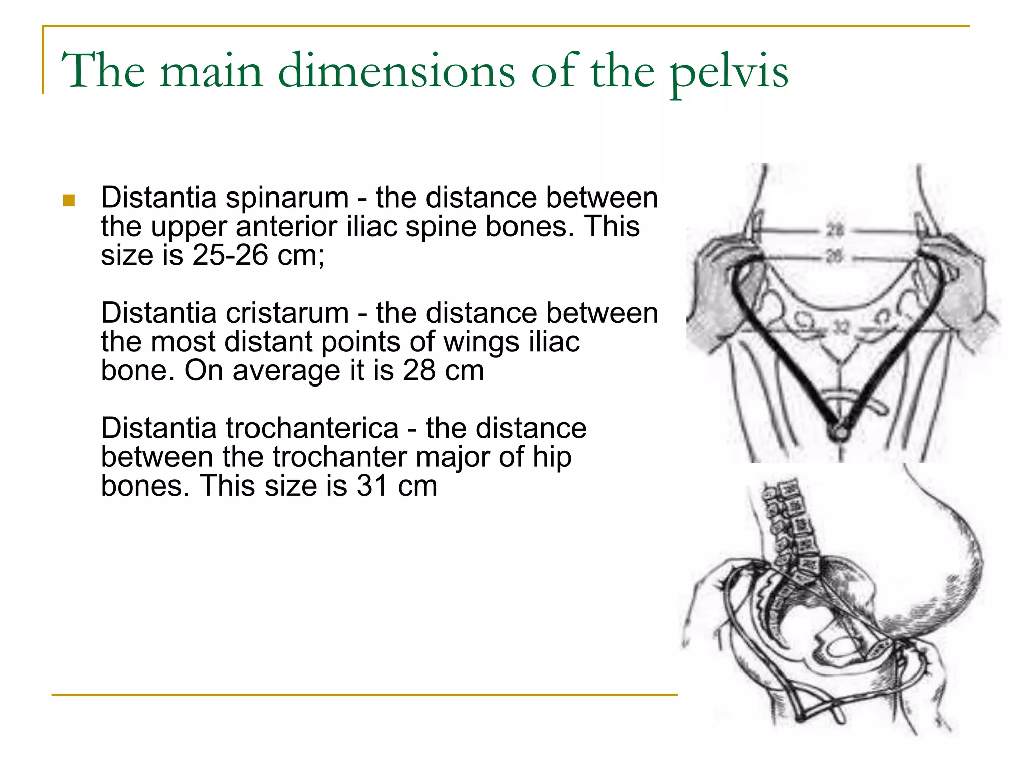 01_Female pelvis. Fetus as object of delivery ...