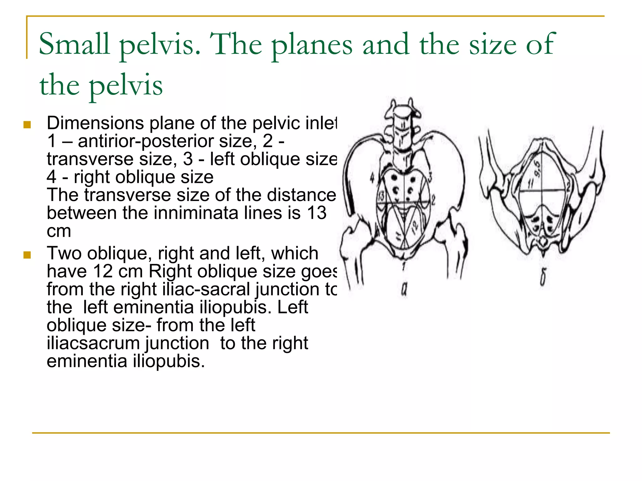 01_Female pelvis. Fetus as object of delivery ...