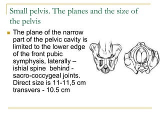 01_Female pelvis. Fetus as object of delivery ...