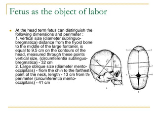 01_Female pelvis. Fetus as object of delivery ...