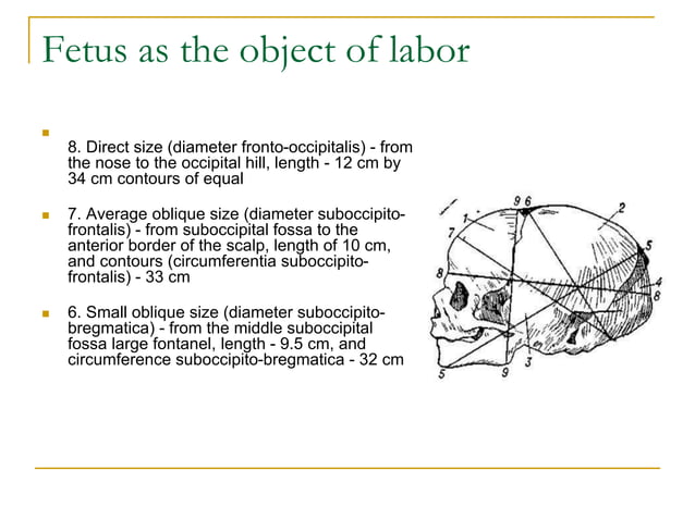 01_Female pelvis. Fetus as object of delivery ...