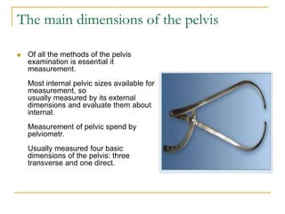 01_Female pelvis. Fetus as object of delivery ...