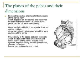 01_Female pelvis. Fetus as object of delivery ...