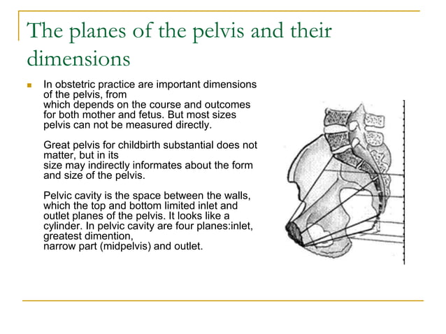 01_Female pelvis. Fetus as object of delivery ...