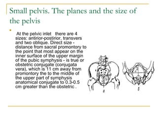 01_Female pelvis. Fetus as object of delivery ...