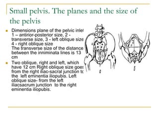 01_Female pelvis. Fetus as object of delivery ...