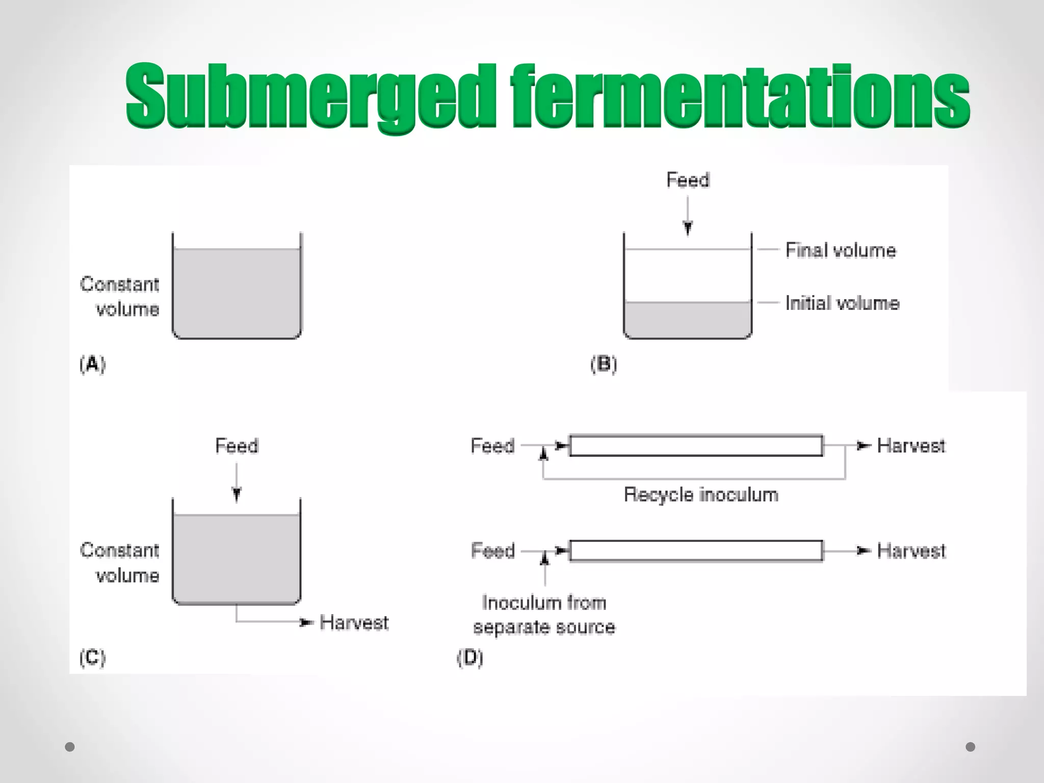 01_Fermentation Intro.pptx