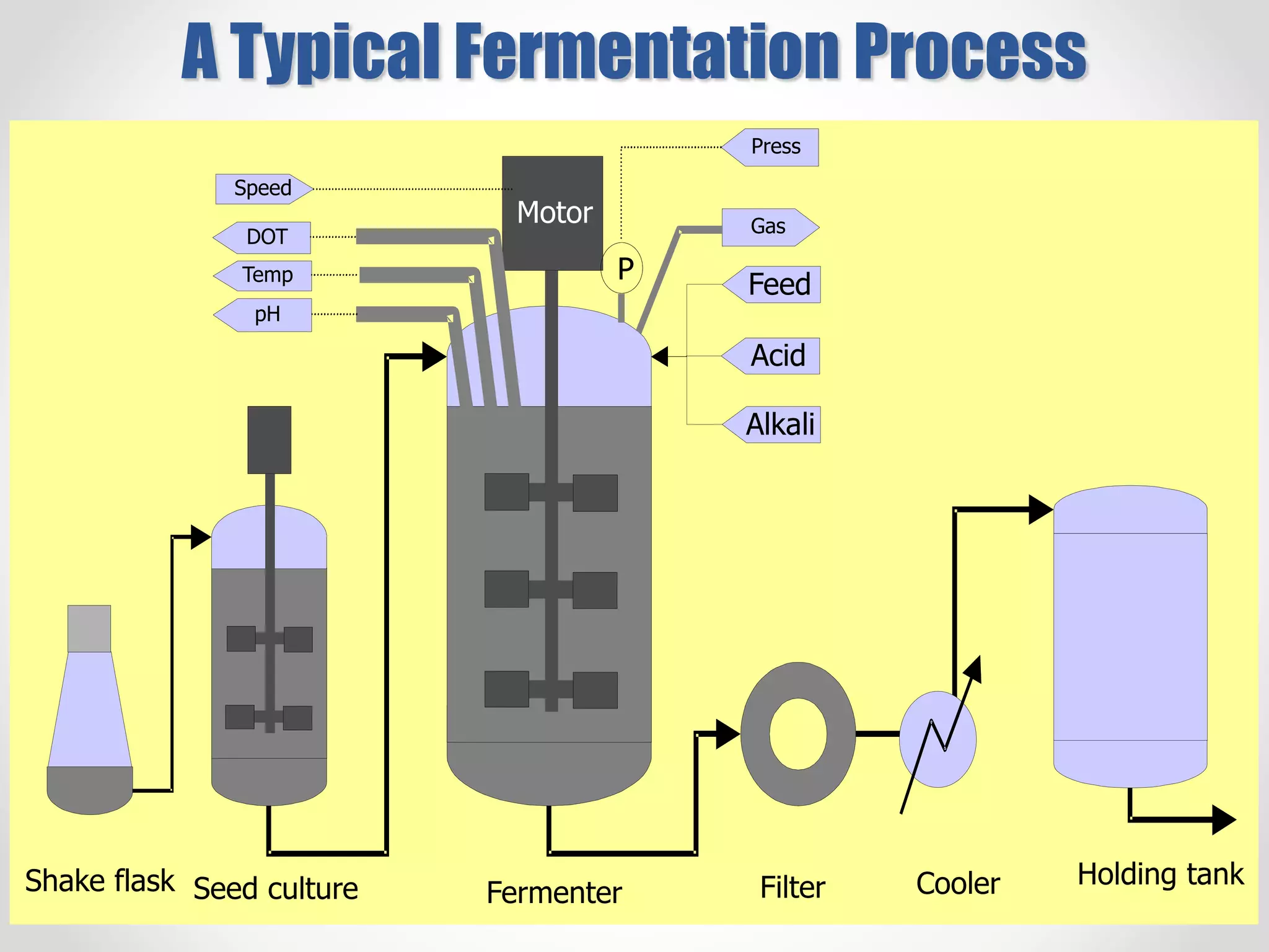 01_Fermentation Intro.pptx
