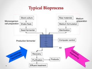 01_Fermentation Intro.pptx