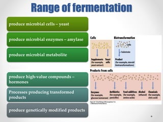 01_Fermentation Intro.pptx