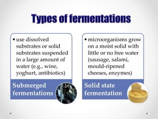 01_Fermentation Intro.pptx
