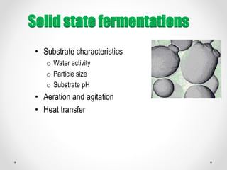 01_Fermentation Intro.pptx