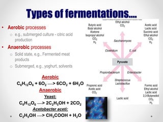 01_Fermentation Intro.pptx