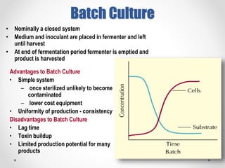01_Fermentation Intro.pptx