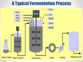 01_Fermentation Intro.pptx