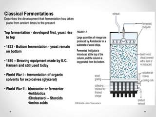 01_Fermentation Intro.pptx