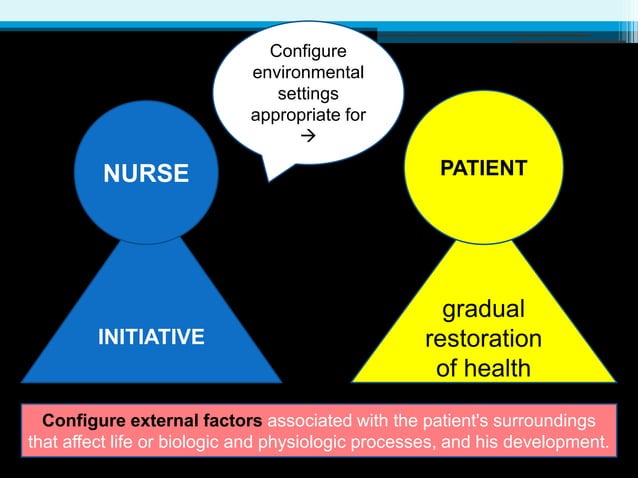 Florence Nightingale's Environment Theory | PPTX | Healthcare Industry ...
