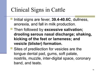 Foot and mouth disease in Livestock and Corridor Animals | PPTX