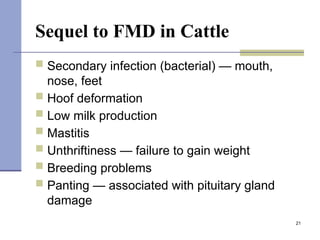 Foot and mouth disease in Livestock and Corridor Animals | PPTX