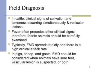Foot and mouth disease in Livestock and Corridor Animals | PPTX