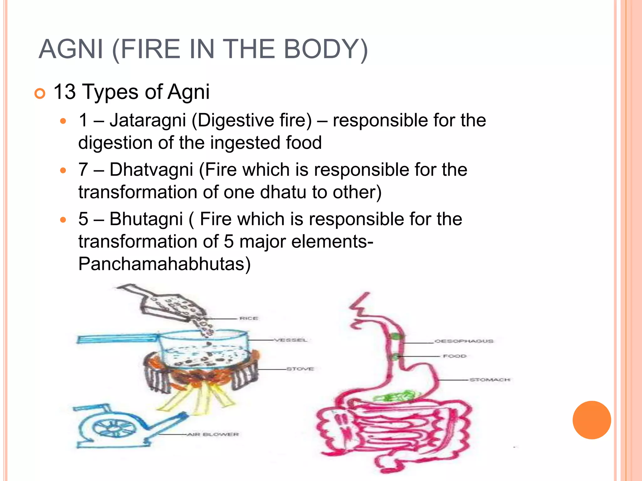 Fundamentals of Ayurveda | PPTX